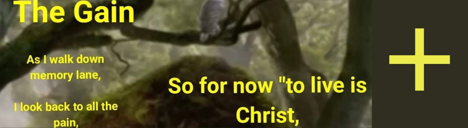 THE GAIN – Red Thread Poets